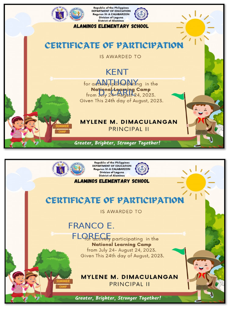 National Learning Camp Certificate | PDF