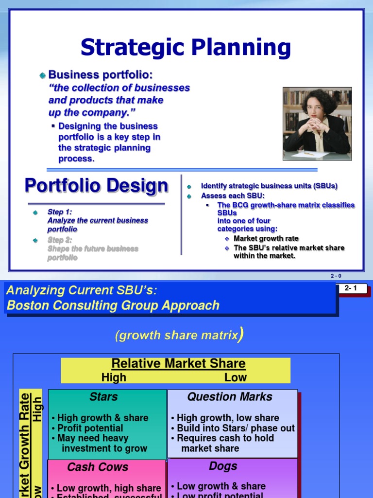 Strategic Business Portfolio Analysis | PDF