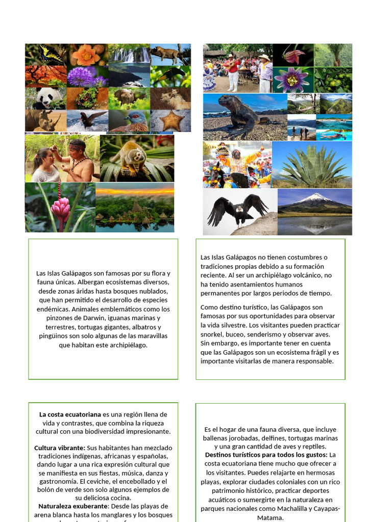Biodiversidad Lunes | PDF