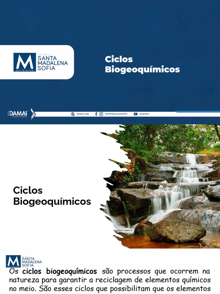 Ciclos Biogeoqu Micos | PDF