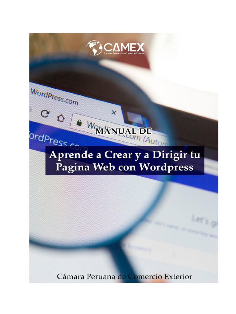 Manual Camex de Aprende A Crear y Dirigir Tu Página Web Con WordPress | PDF