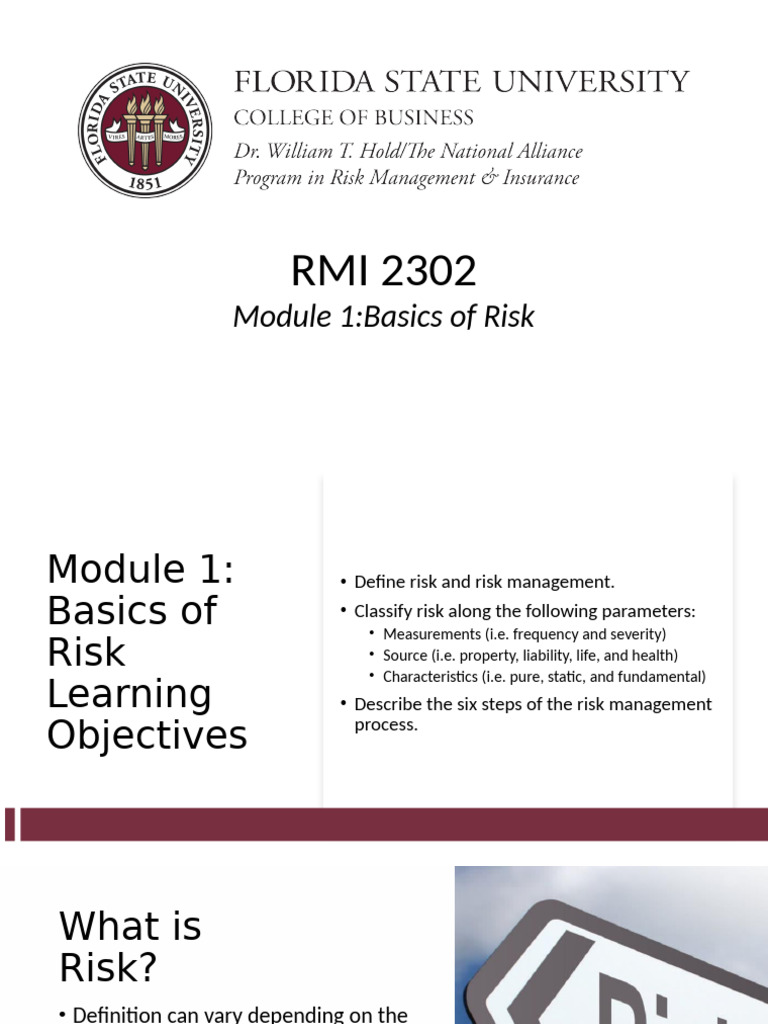 Module 1 - Basics of Risk Slides (Fall 23) - Tagged | PDF Module 1 - Basics of Risk Slides (Fall 23) - Tagged | PDF