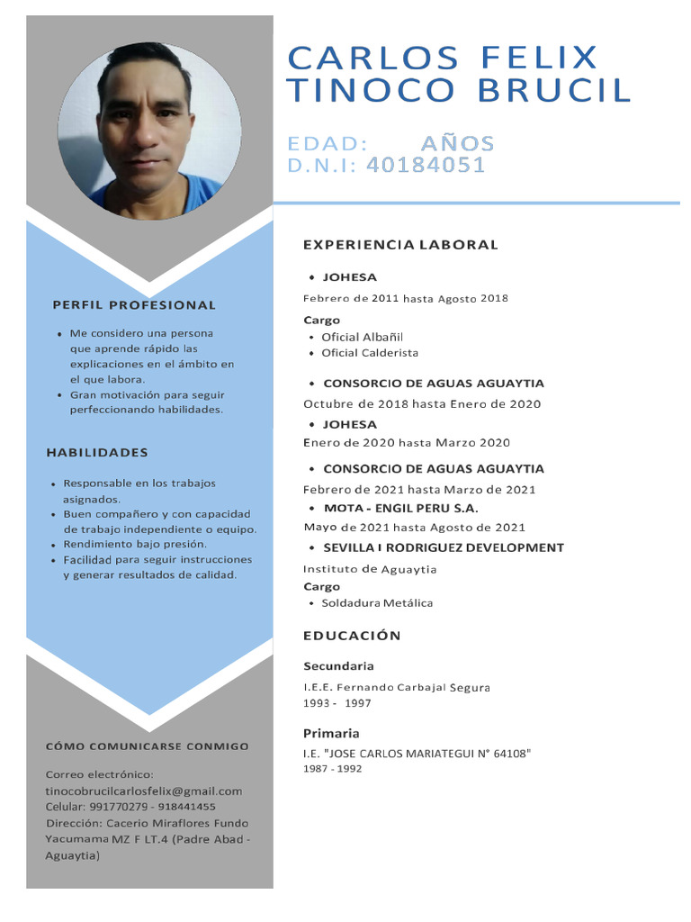 CV - Carlos Tinoco Actualizado | PDF