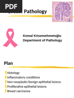 Pathology Outlines - Nonproliferative Fibrocystic Changes | PDF ...