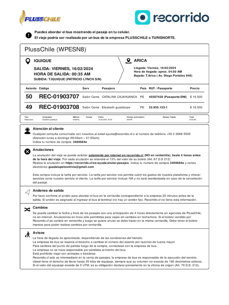 Pasaje Recorrido 3469684e | PDF