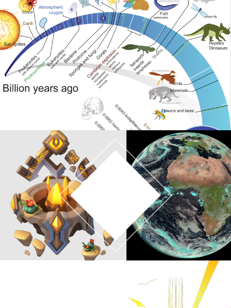 History of Life | PDF