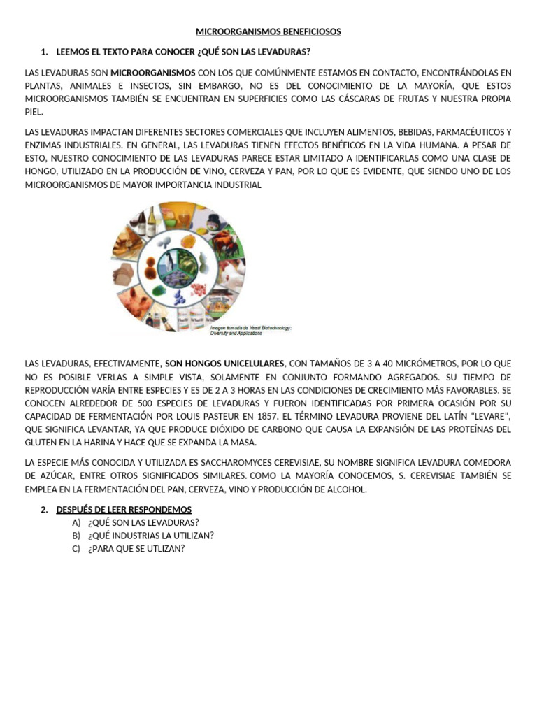 Conociendo Las Levaduras Pdf