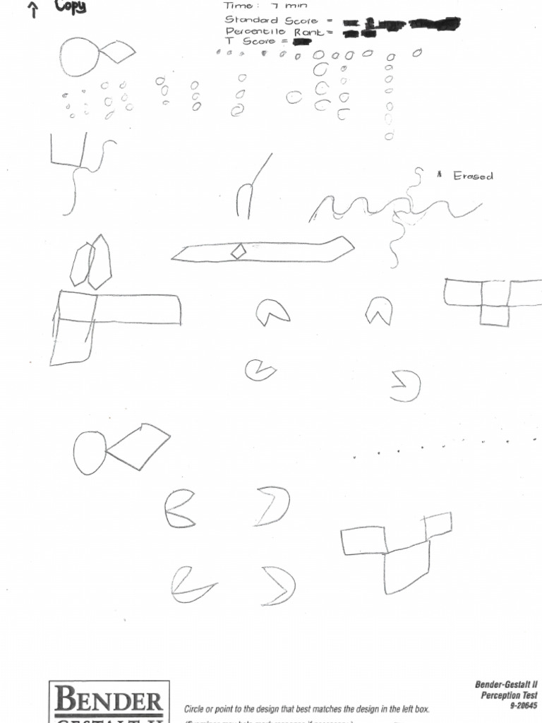 Bender Case Study - 240507 - 113507 | PDF