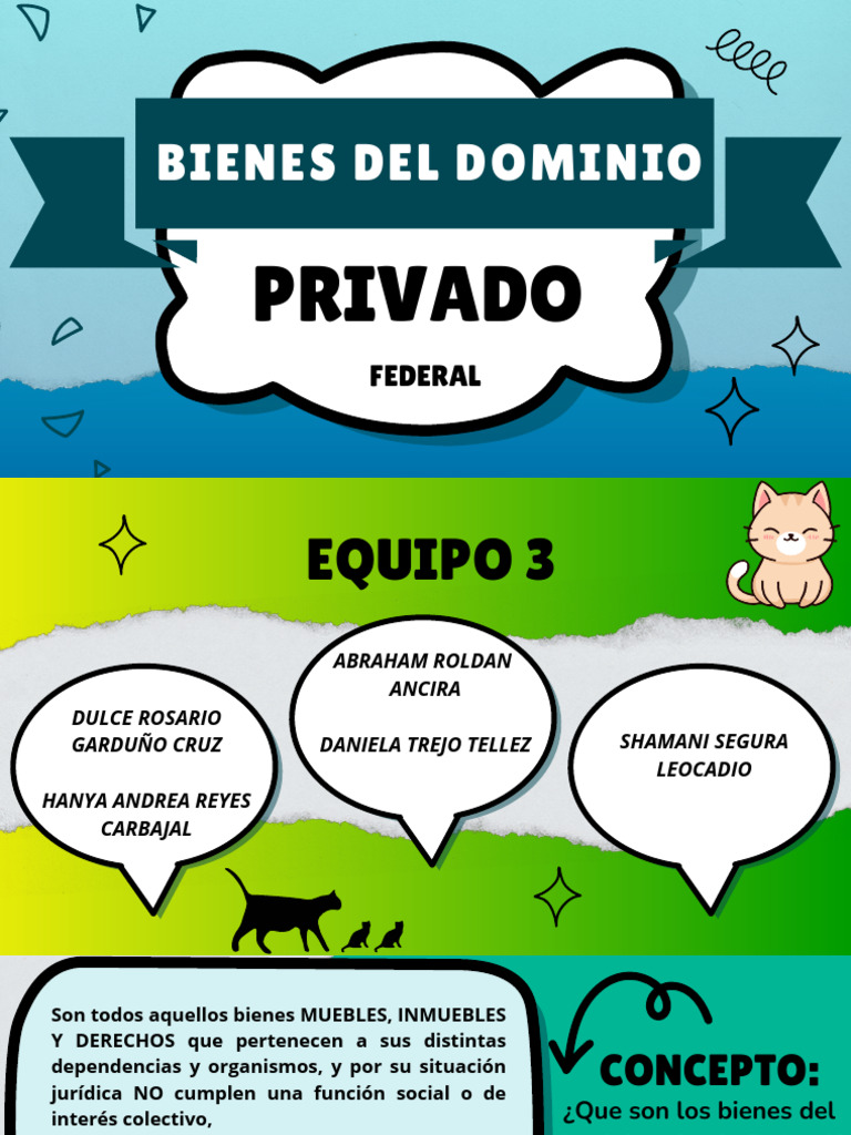 Bienes Del Dominio Privado Federal | PDF