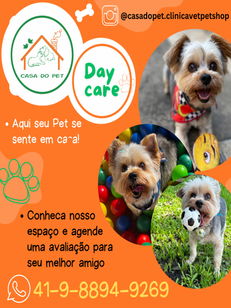 Day Care | PDF