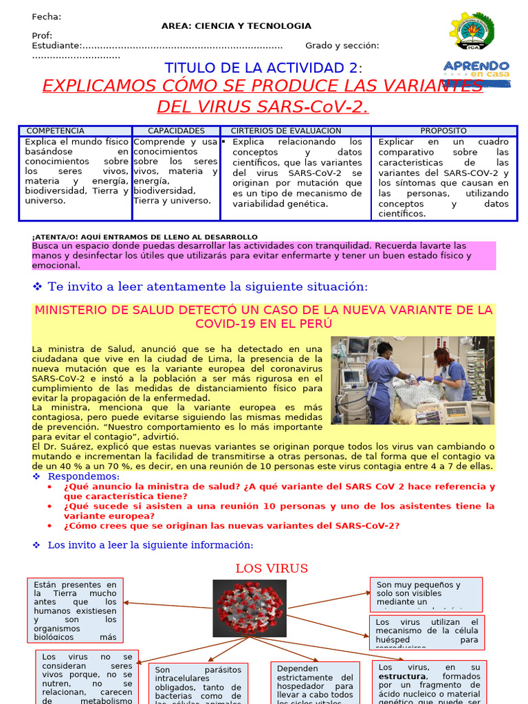3ro ACTIVIDAD 2 | PDF