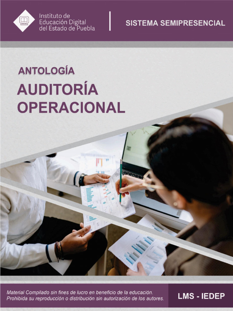 Introducción a la Auditoría Operacional | PDF | Auditoría | Crecimiento ...