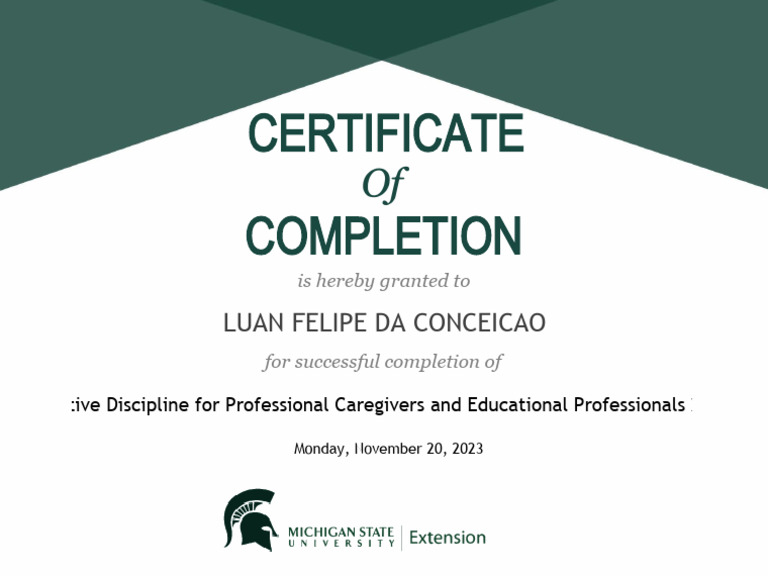 Certificate of Completion Positive Discipline For Professionals | PDF