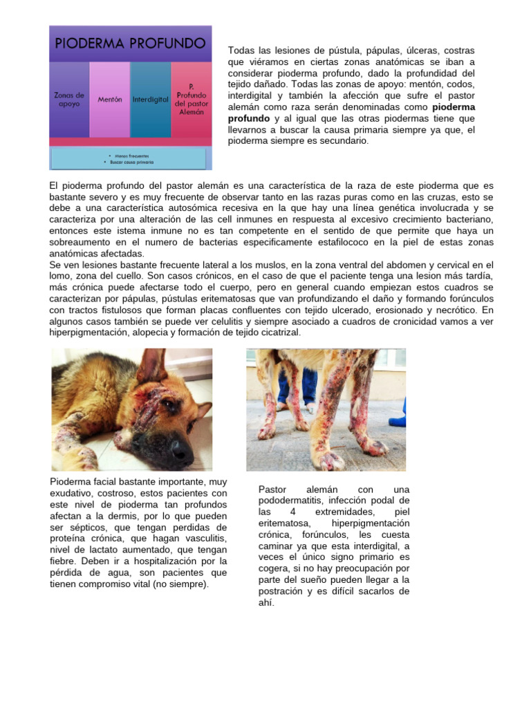 Dermatologiìa Clase 3 Parte 2 | PDF