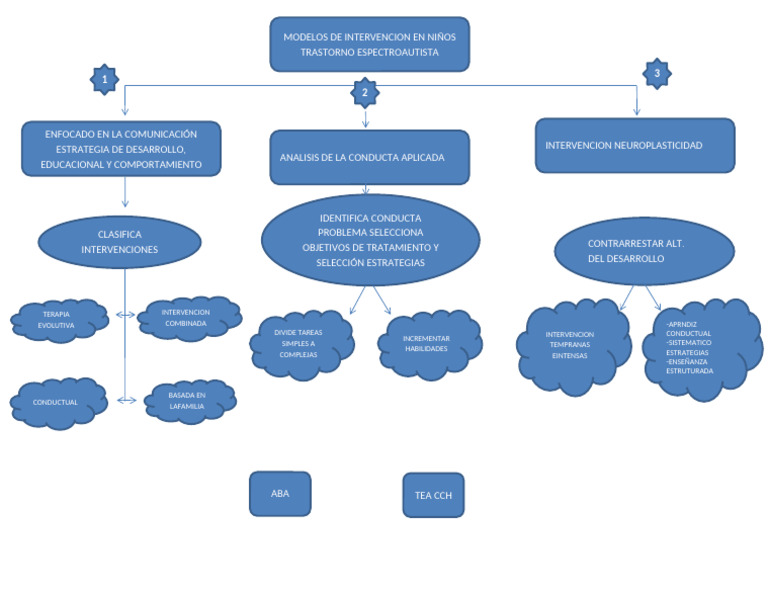 Mapa Conceptual TEA | PDF