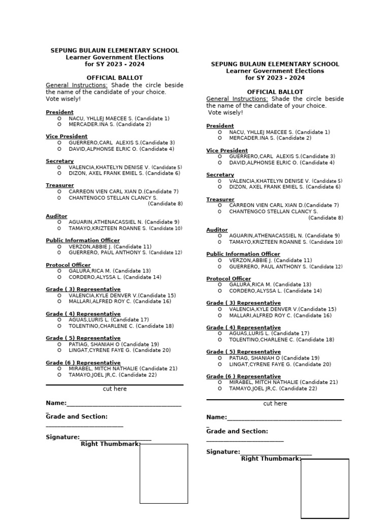 Official Ballot | PDF