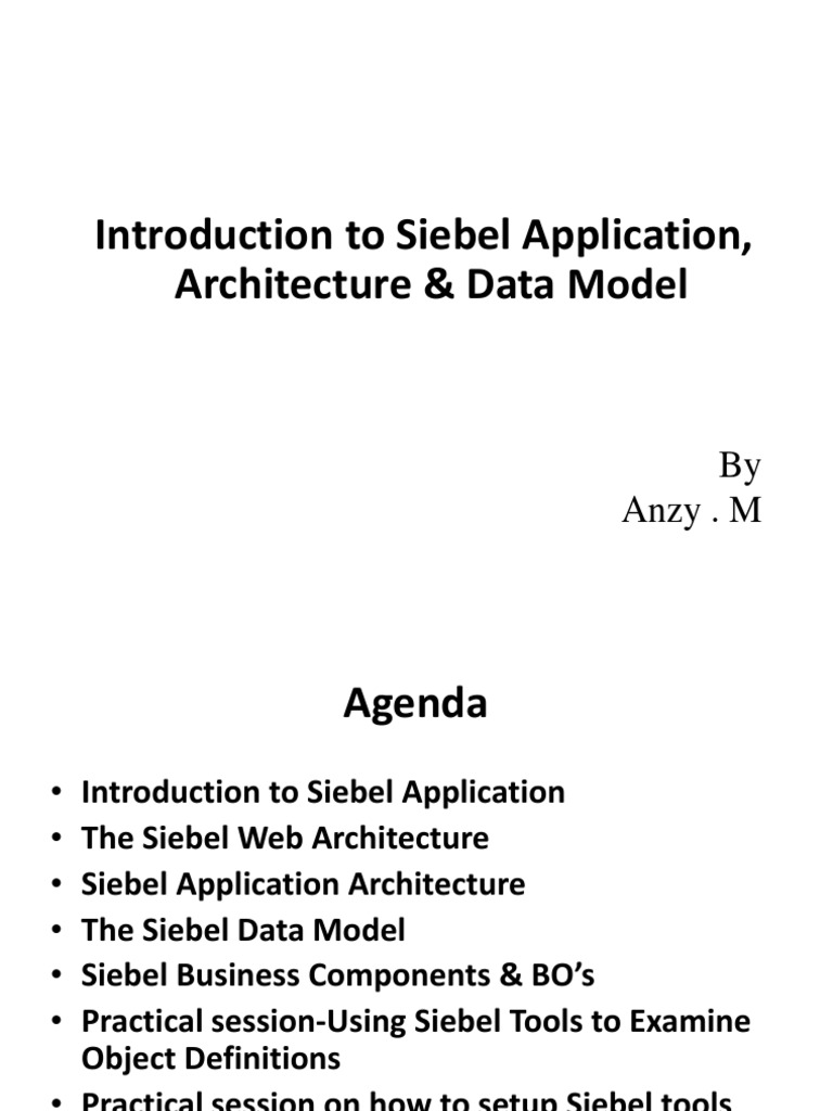 Introduction To Siebel | PDF
