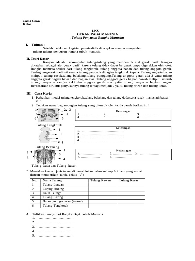LKS 4, Gerak Manusia 2 | PDF