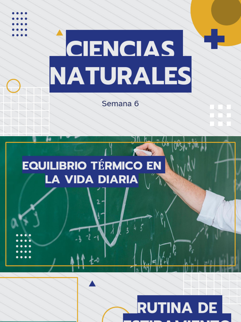 CCNN S6 P2 2024 | PDF