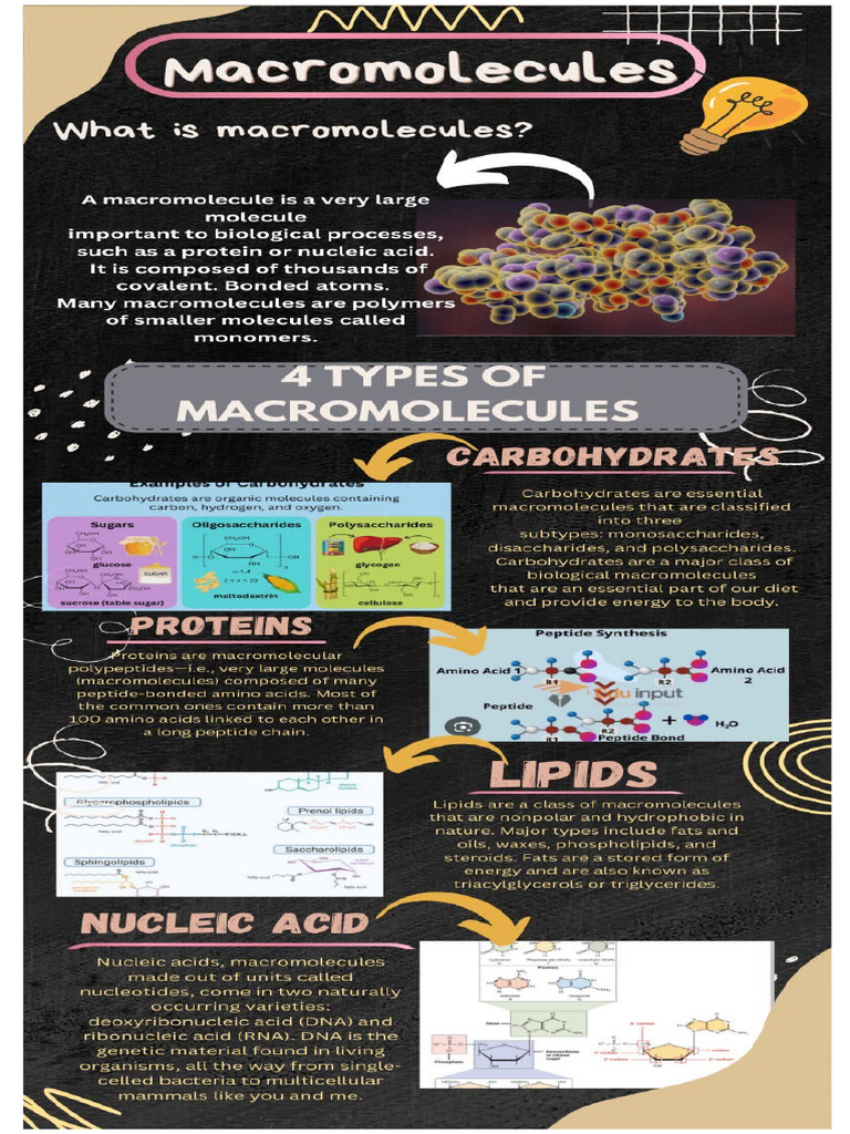 Macromolecules | PDF