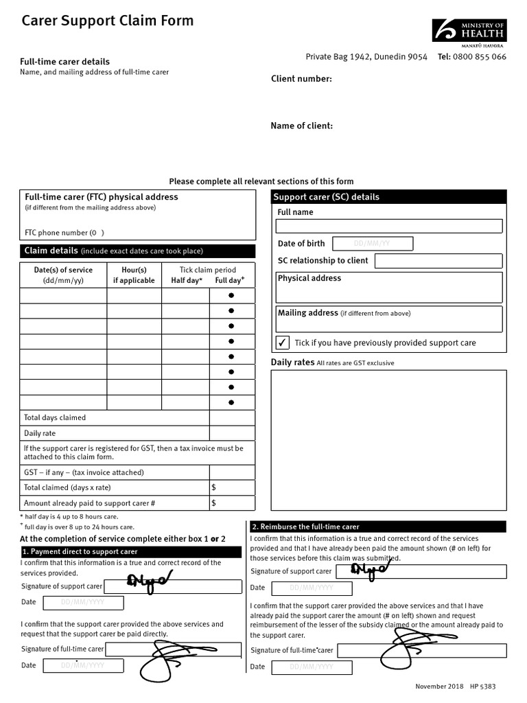 Blank Carer Support Form PDF | PDF