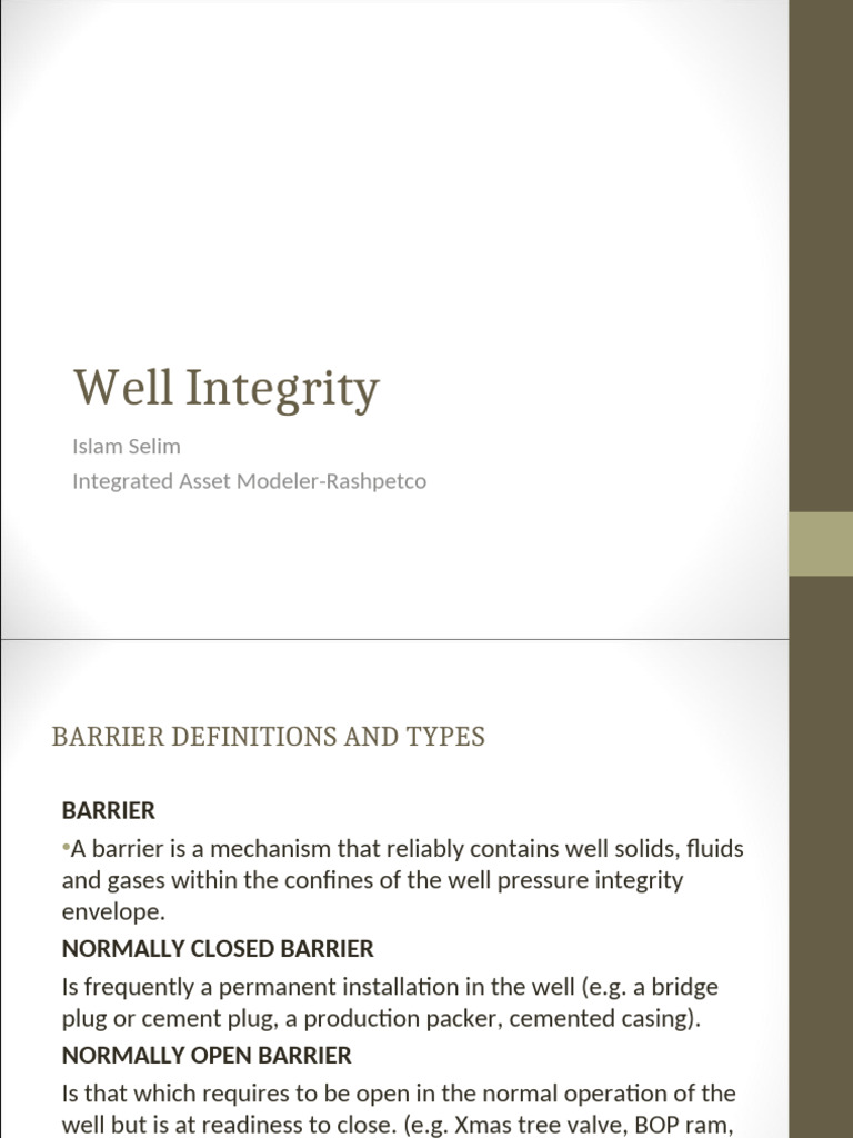 Well Integrity | PDF