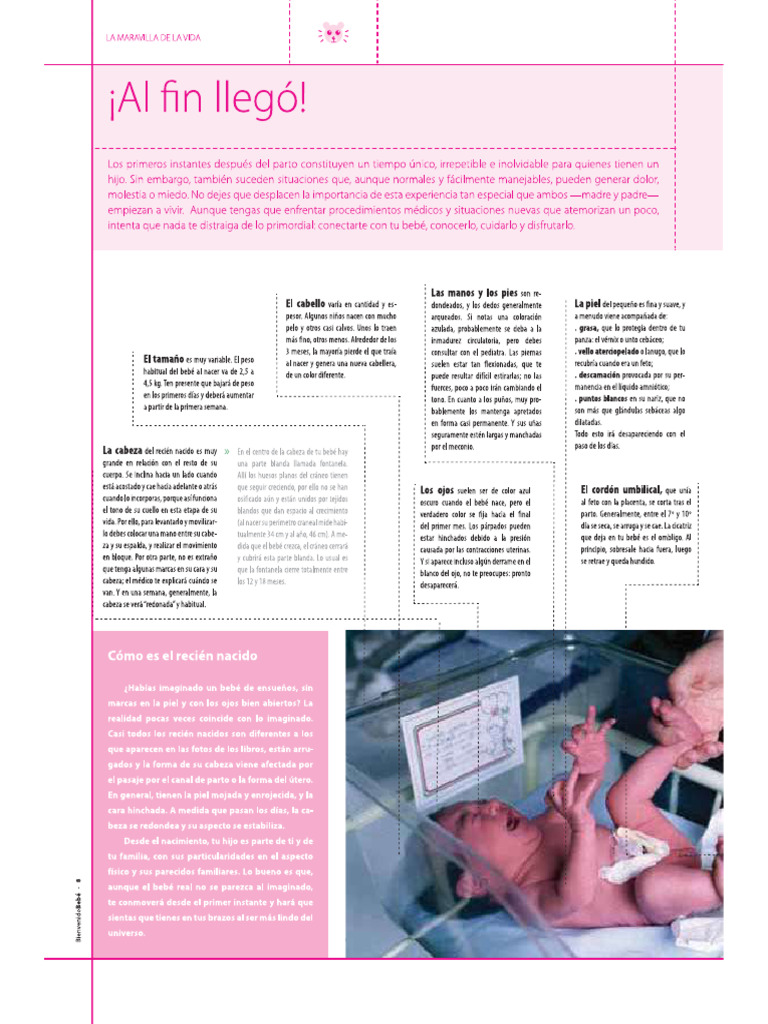 Al Fin Llego Bebe | PDF