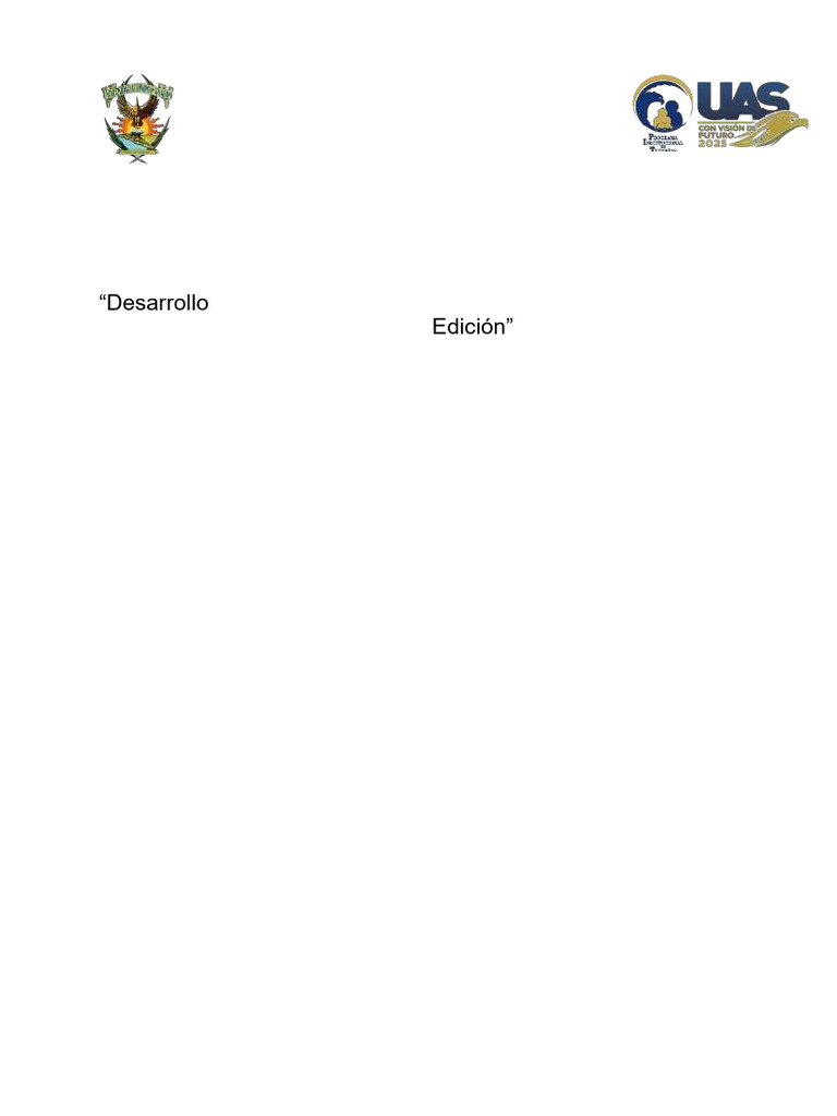 Ejemplo. Modelo Del PAG | PDF