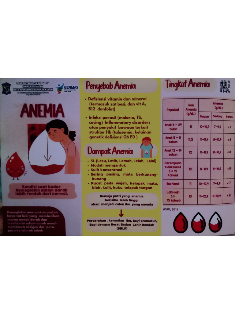 Leaflet Anemia | PDF