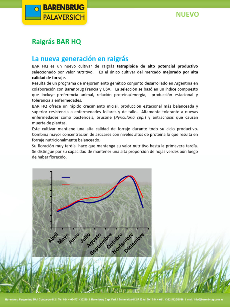 Raigrás Anual - Guía para La Elección de Cultivares de Raigrás Anual ...
