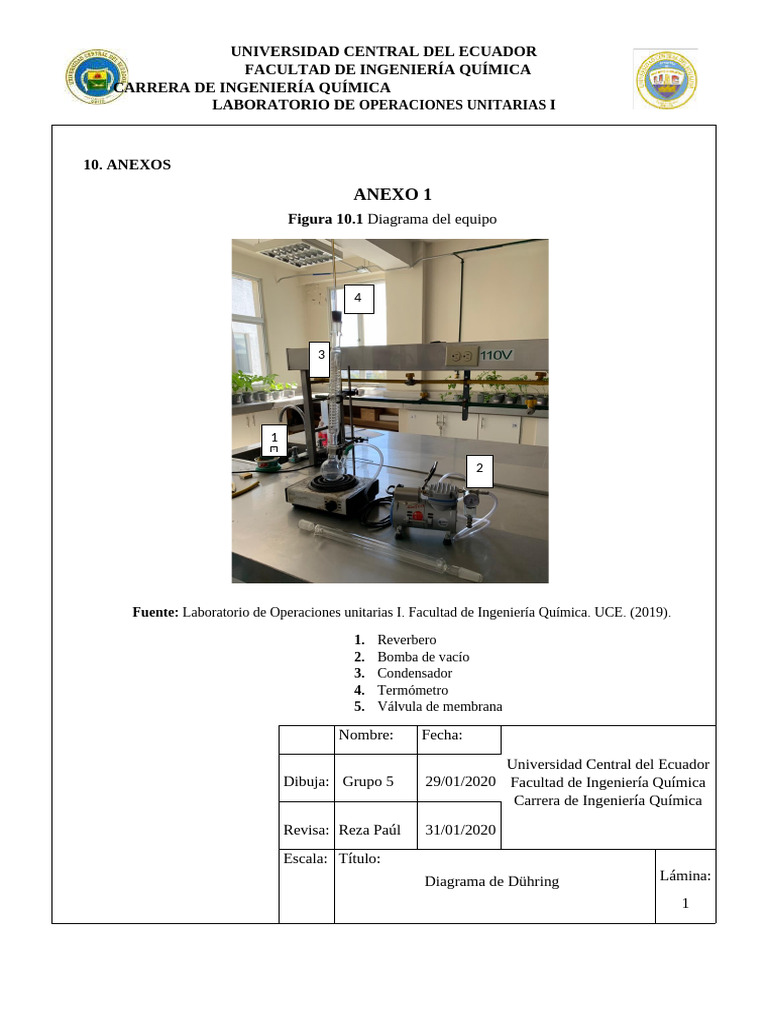 Anexos Práctica Dühring | PDF
