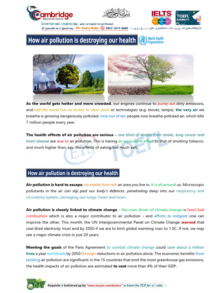 The Global Impact of Air Pollution | PDF | Air Pollution | Climate Change
