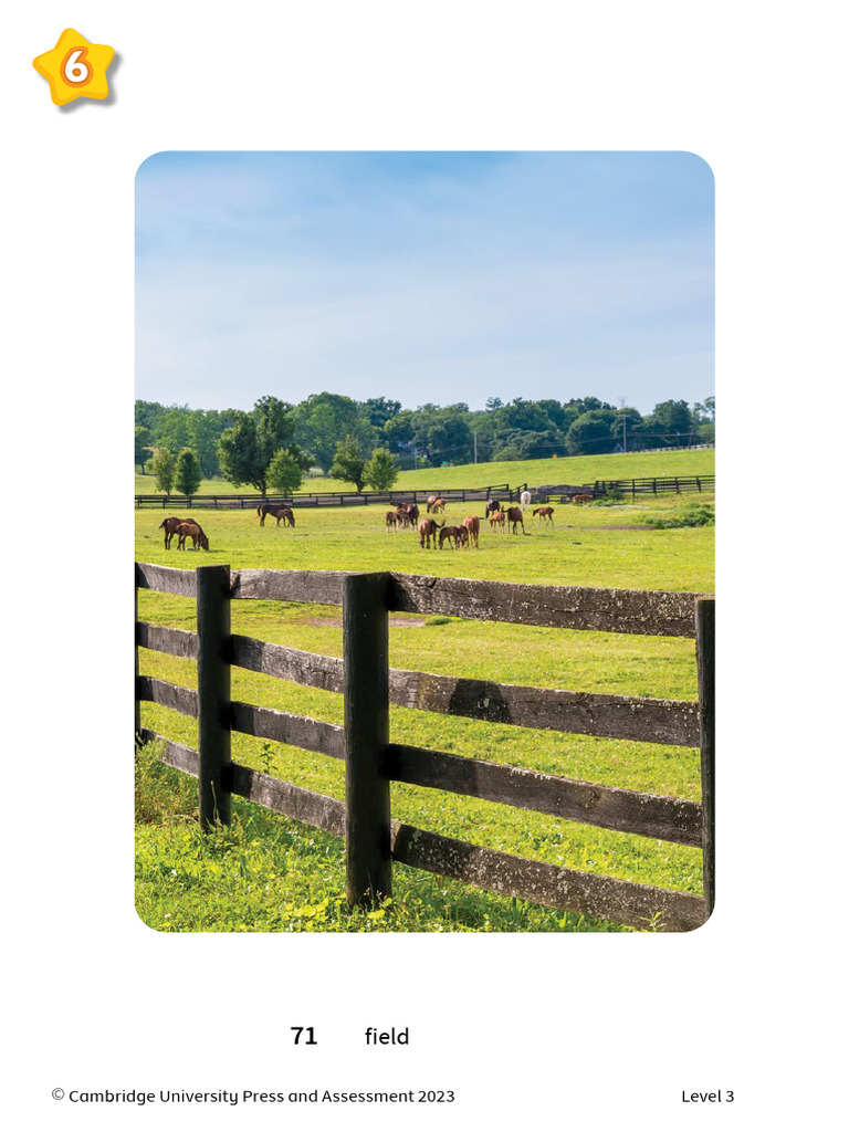 KidsBox_Level3_Flashcards_Unit_6 | PDF