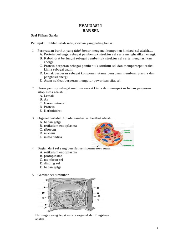 1 - Evaluasi 1 Sel | PDF
