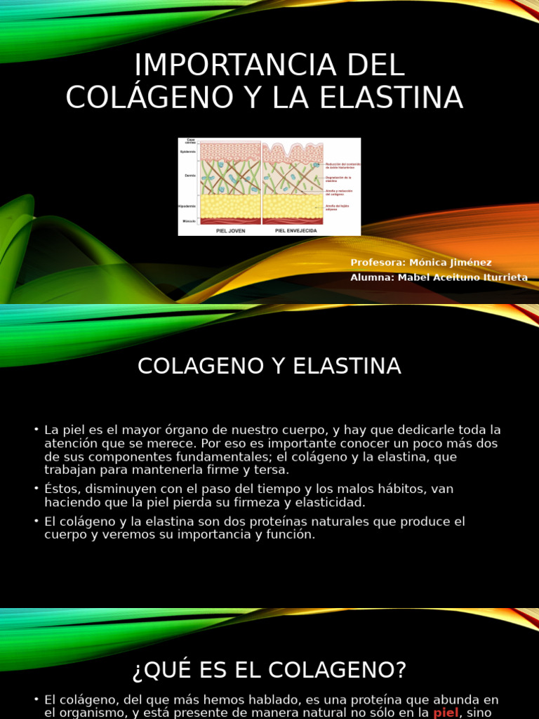 Colageno y Elastina | PDF
