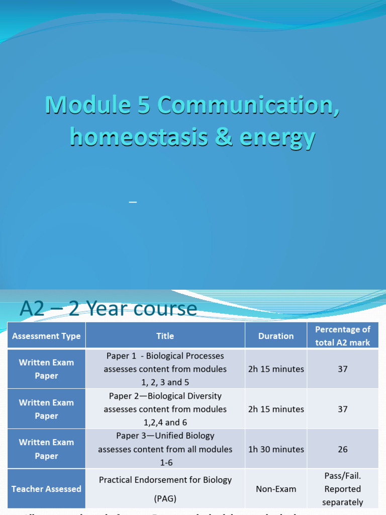 Sensory Receptors | PDF