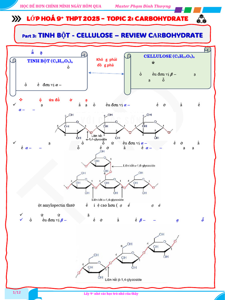 DRT Tih Bot Cellulose Review Carbohydrate He Day Them 12NC1 2024 | PDF