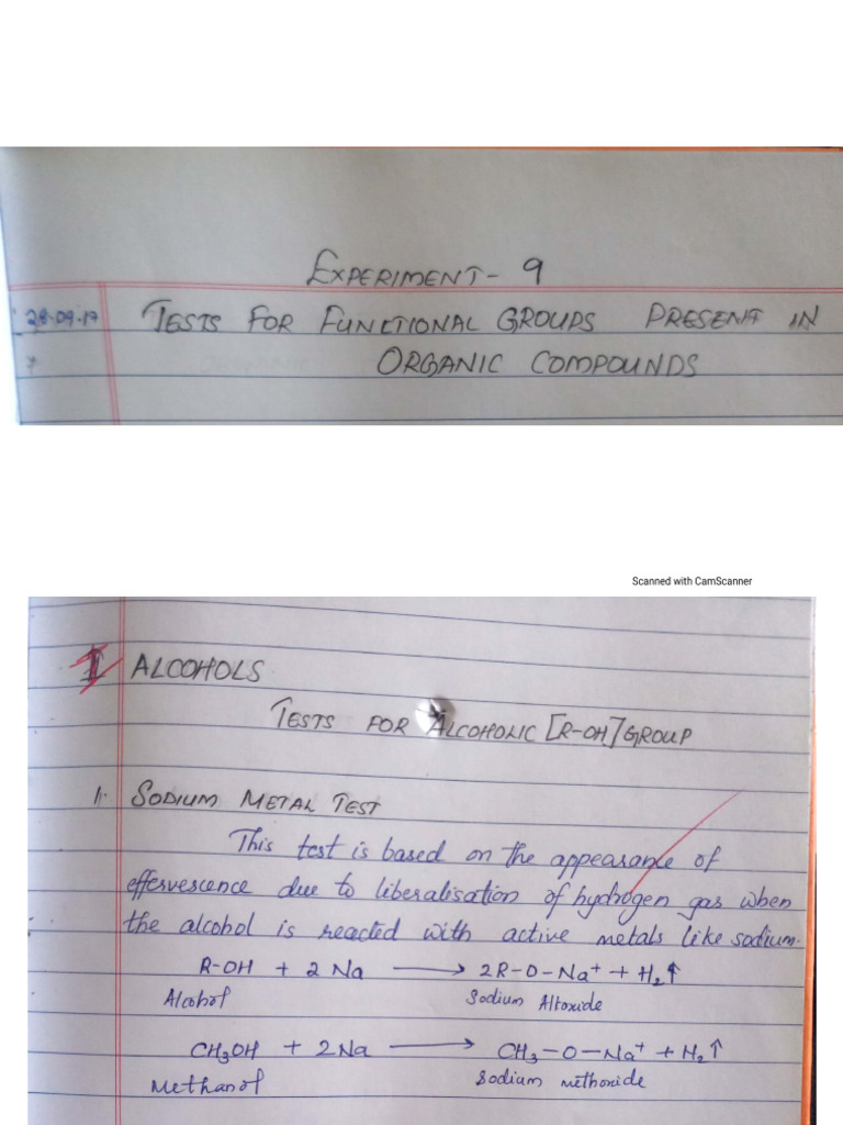 Record Writing | PDF