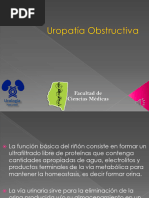 Obstrucción y Estasis Urinaria: Diagnóstico y Tratamiento | PDF ...