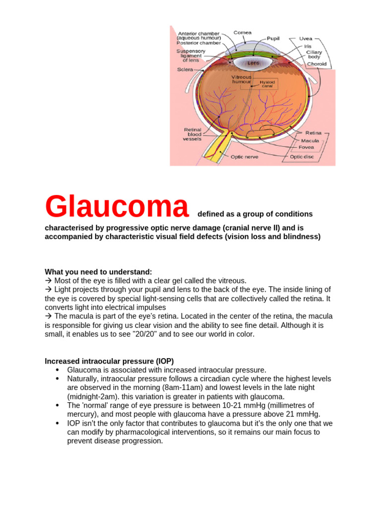 Glaucoma | PDF
