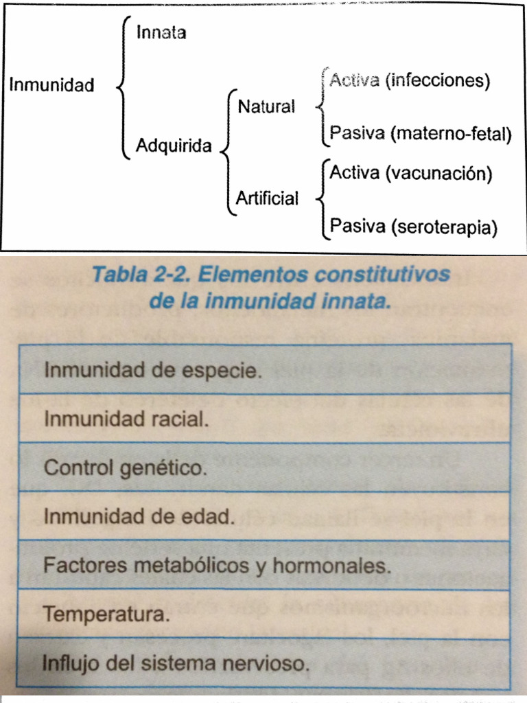 1.-Tipos Inmunidad | PDF