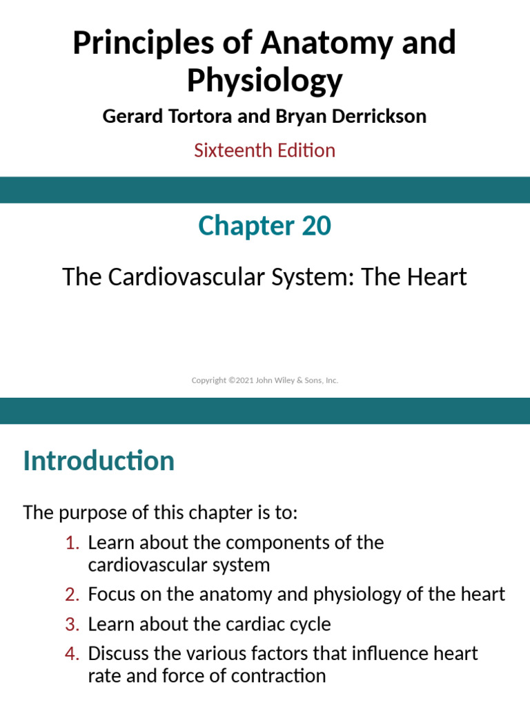 Chapter 20 - Lecture Presentation | PDF