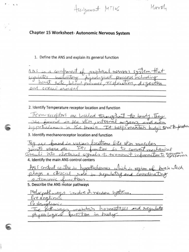 Brain Assignment Important | PDF