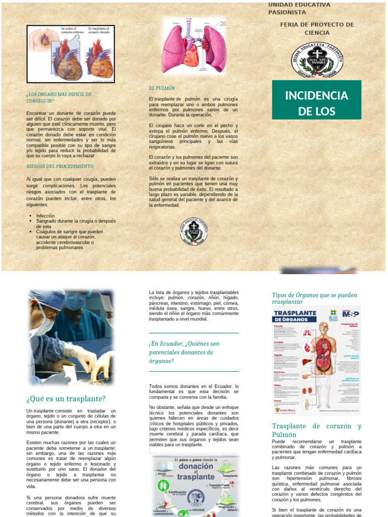 Triptico Transplante de Organos | PDF