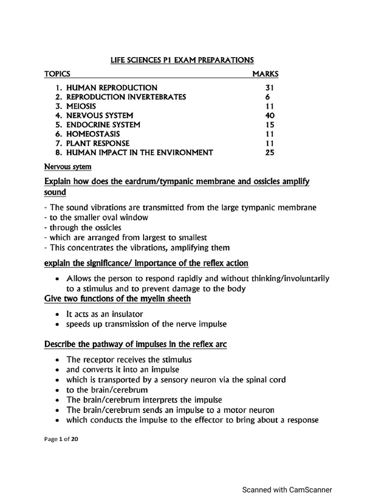 Life Sciences p1 Exam Preparations PDF | PDF