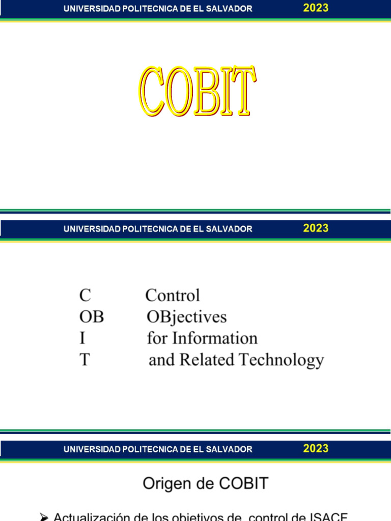 Cobit 2 | PDF
