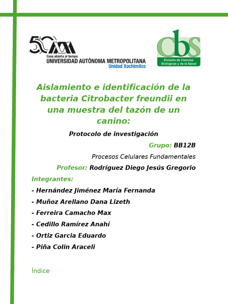 Trabajo de Investigacion Citrobacter Freundii 2 | PDF | Las bacterias | Microbiología