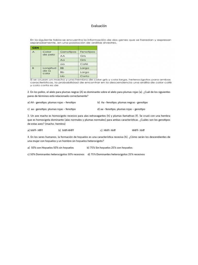 Examen Genetica I | PDF
