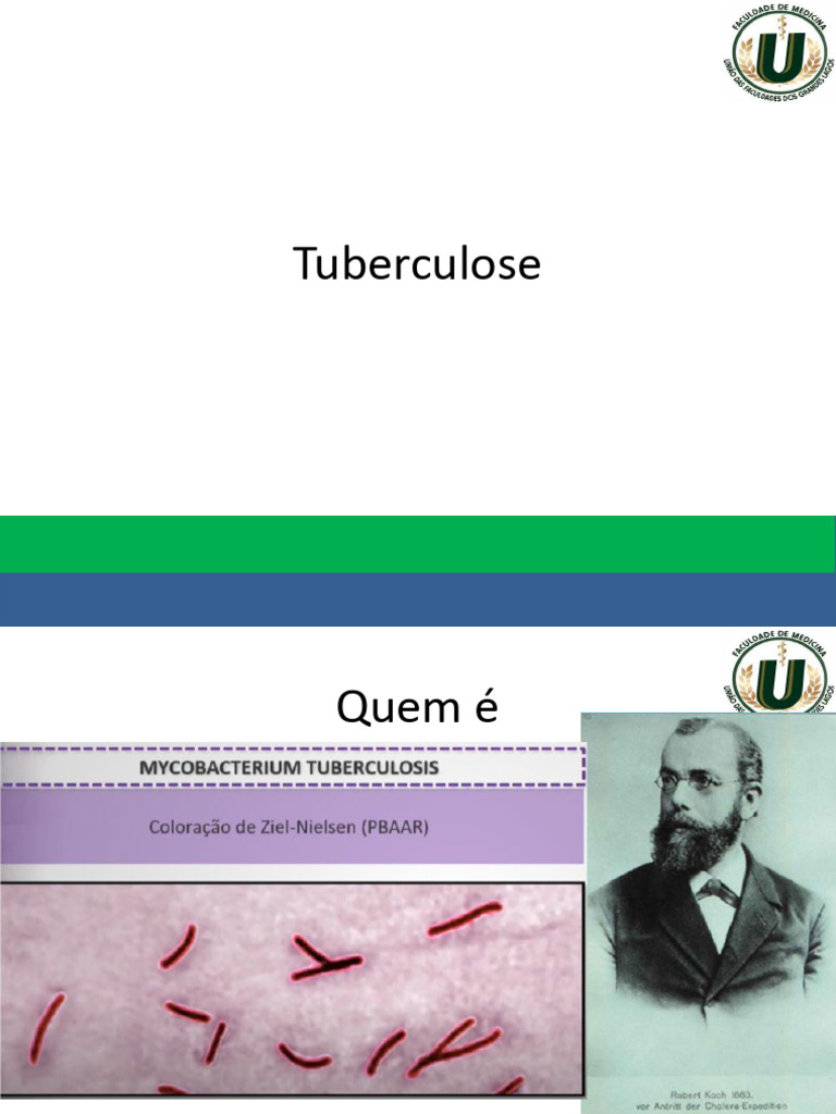 Tuberculose 2 | PDF