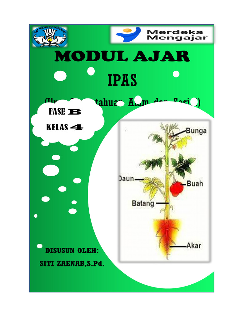 Modul Ajar - Siti Zaenab - Kelas 4 - Ipas - Bagian Dan Fungsi Tumbuhan - SD 1 Abean | PDF